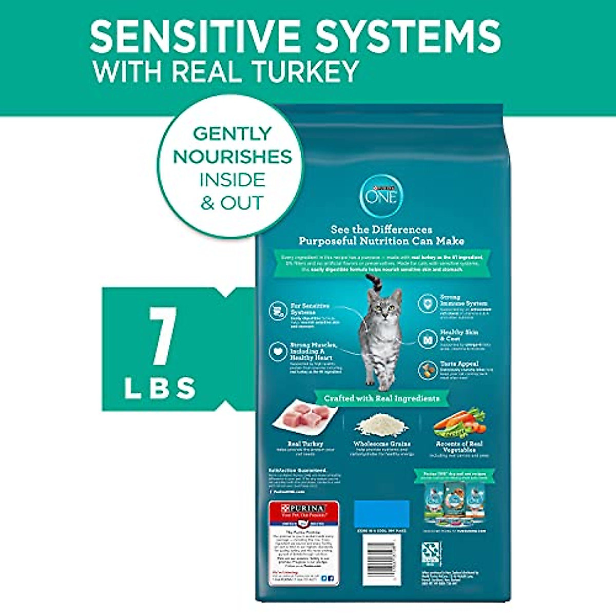 Purina ONE Sensitive Stomach, Sensitive Skin, Natural Dry Cat Food, +Plus Sensitive Skin and Stomach Formula - 7 lb. Bag