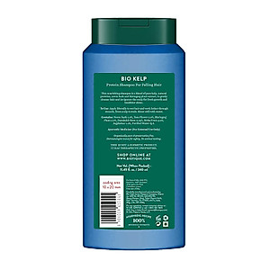 Biotique Bio Kelp Protein Shampoo for Falling Hair, 340 ml