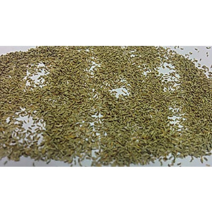 Herb Seeds - German Chamomile - Medicinal, Flowering, and Edible - Liliana's Garden