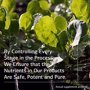 Standard Process Inc. Congaplex - Thymus Gland Support Supplement - Immune Health with Calcium Lactate, Magnesium, Vitamin C & Vitamin A - Immune System Aid with Mushroom Powder - 150 Capsules