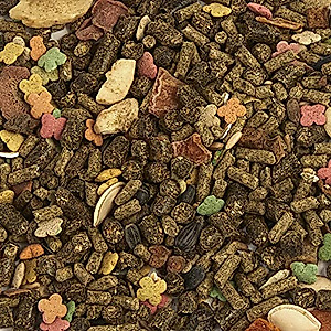 F.M. Brown's Tropical Carnival Gourmet Guinea Pig Food with Alfalfa and Timothy Hay Pellets - Vitamin-Nutrient Fortified Daily Diet - 10 lb