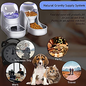 Automatic Pet Feeder and Waterer Cat Dog Gravity Food Bowl Set 3.8 L with 1 Water Dispenser and 1 Food Feeder for Small, Medium & Big Pets (Gray)