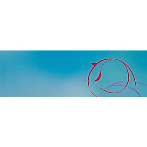 Salvatore Ferragamo Incanto Charms For Women eau-de-toilette Spray, 3.40 Ounce