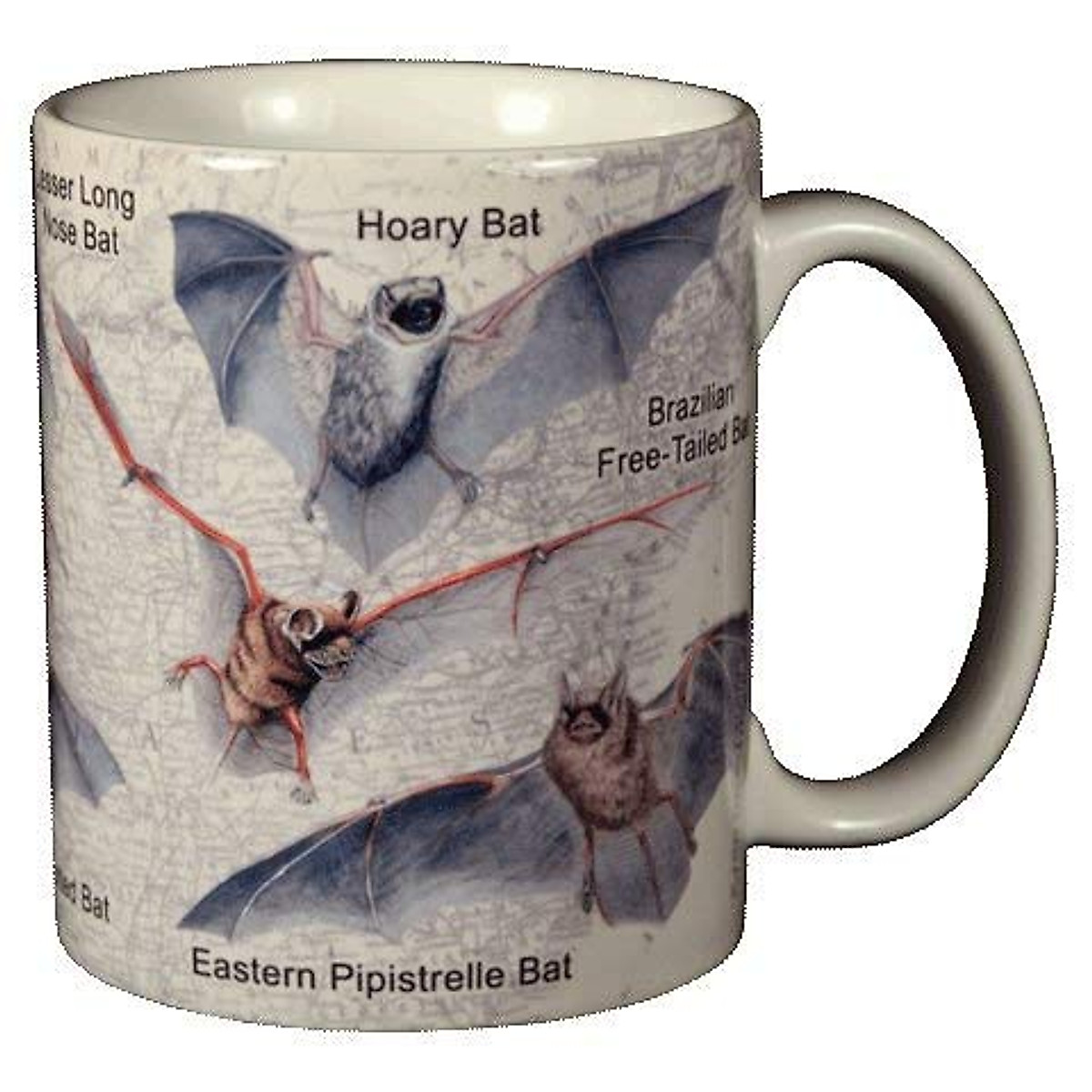 WILD COTTON Bats of North America 11 Ounce Ceramic Coffee Mug (WC401M)
