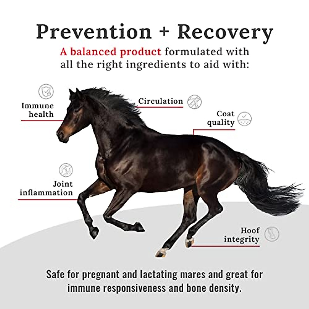 Mojo Joint Horse Supplements, Equine Food Grade Pelleted Supplement, All Natural Joint Care Supplement for Horses, 10 lbs