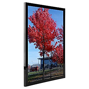 Medog 11 by 17 Picture Frame without Mat to Display picture 11x17 Wall Mounting Document Certificate Frames If Add Mat Can As 11x14 10x14 9x15 10x12 Picture Frame 11x17
