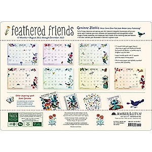 Geninne Zlatkis 2022 - 2023 Desk Pad Monthly Calendar (17-Month Aug 2022 - Dec 2023, 18.75" x 13.5"): Feathered Friends