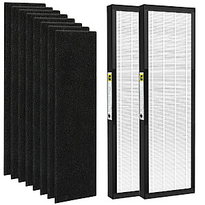 2-Pack FLT4825 True HEPA Filter B Replacement Compatible for G-guardian Models AC4825 AC4850PT AC4900CA AC4820 PureGuardian AP2200CA Plus 8 Carcon Filter