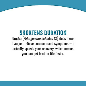 Nature's Way Umcka ColdCare Day + Night, Soothing Hot Drink Mixes, Lemon & Honey Flavors, 12 Packets