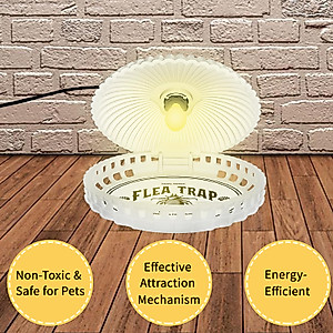 Flea Trap for Inside Your Home, Electric Flea Light, Refillable Flea Traps for Indoor with Refill Including Replacement Sticky Pads and Bulbs, Pet Safe, Pack of 2