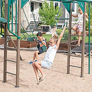 Lifetime 91028 Monkey Bar Adventure Swing Set, Earthtone