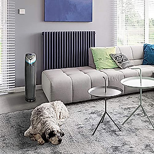 Germ Guardian Air Purifier with HEPA 13 Pet Filter, Removes 99.97% of Pollutants, Covers Large Room up to 915 Sq. Foot in 1 Hr, UV-C Light Helps Reduce Germs, Zero Ozone Verified, 28", Gray, AC5250PT