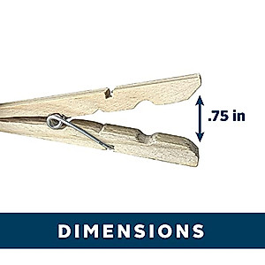 Teal Turtle Wooden Clothespins with Spring for Hanging Laundry, Arts & Crafts, School Projects, Or Bag Clips Set of 20