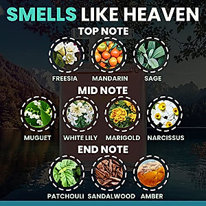 Paris For Her Eau de Parfum Spray Perfume, Fragrance For Women-Daywear, Casual Daily Cologne Set with Deluxe Suede Pouch- 3.4 Oz Bottle- Ideal EDT Beauty Gift for Birthday, Anniversary (3.4) (C)