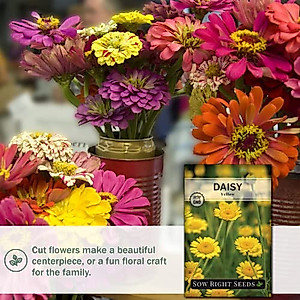 Sow Right Seeds - Yellow Daisy Flower Seeds for Planting, Beautiful Flowers to Plant in Your Garden; Non-GMO Heirloom Seeds; Wonderful Gardening Gifts (1)