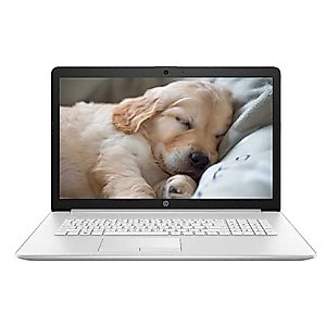 HP Newest 17 Business Laptop, 11th Gen Intel Core i5-1135G7, 17.3" FHD IPS Display, 16GB RAM, 512GB SSD, Wi-Fi 5, Bluetooth, HDMI, Webcam, Windows 10 Pro | 32GB Tela USB Card