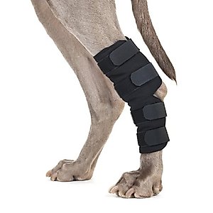 BACK ON TRACK Therapeutic Dog Hock Brace (Pair), Color: Black, Size: L (31020003)