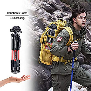 55" Tripod Q111 Travel Camera Tripod with 3-Way Pan Head and Phone Holder Mount for Gopro,Projector,Smartphones Webcam,Spotting Scopesto Live Broadcast and DSLR EOS Canon Nikon Sony Samsung(Red)