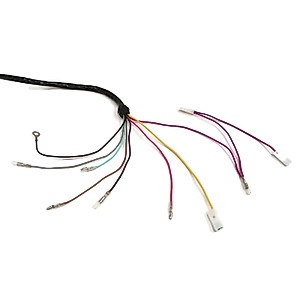 The ROP Shop | Magneto Stator for Polaris Power Sports, ATV & Fourwheeler Engines 2878508