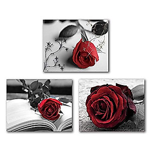 Vintage Painting Black and White Red Rose Wall Art Paintings Set of 3 (8”X10” Canvas Picture) Abstract Wall Art Decor Flower Art Paint for Bedroom Living Room Home Decor Valentines Gift Frameless