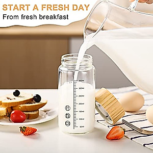 ZDZDZ Bamboo Lid Glass Water Bottle 13Oz Small Glass Water Bottles, Wide Mouth Glass Milk Bottle, Smoothie Glass Bottle with Scale Line