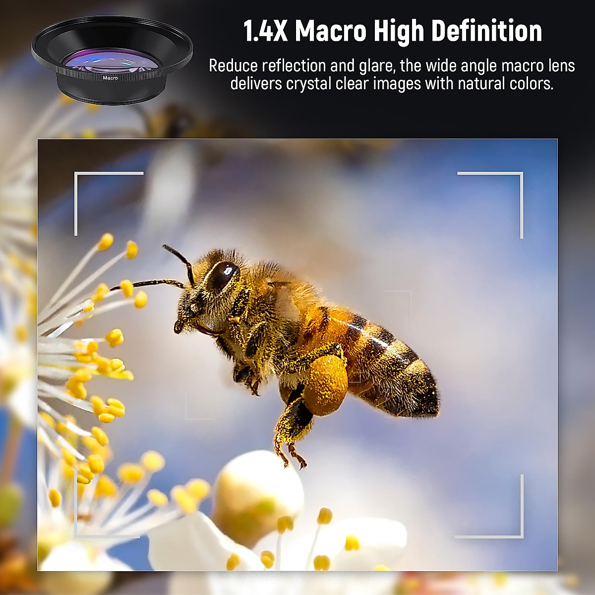 NEEWER 49mm 0.43X Fisheye & 1.4X Macro Lens, 18mm Focus Compatible with Canon EOS Kiss M2 RP R10, 40.5-49mm Adapter Ring (not Included) Needed for Sony ZV-E10 A6400 A7 IV Nikon Z50, LS-20