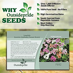 Outsidepride Lewisia Sunset Strain Garden Flowers Great for Pots, Containers, Baskets, Patios - 100 Seeds
