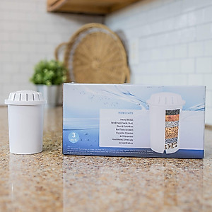 F004 REPLACEMENT FILTER - for Life Ionizer Glass Pitcher of Life - Alkaline Water Filter Cartridge - Pack of 3