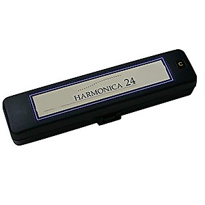 WAAZVXS Harmonica 24 Holes Key C Musical Instruments for Beginner (Color : Key C)