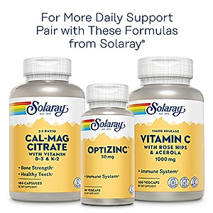SOLARAY Vitamin B-Complex 100 mg, Healthy Energy, Blood Cell Formation & Nerve Impulse Transmission Support, 100 VegCaps (100 Count)