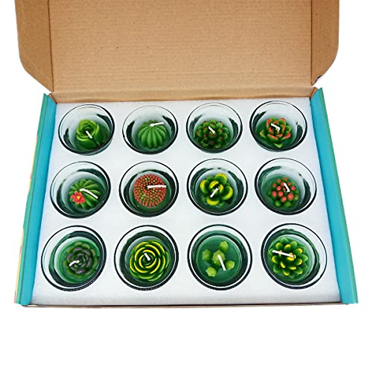 Amusaer Succulent Cactus Tealight Candles in Glass 12 Set Bulk Small Soy Wax Candles for Wedding, Party Favors, Baby Shower, Bridal Shower Green