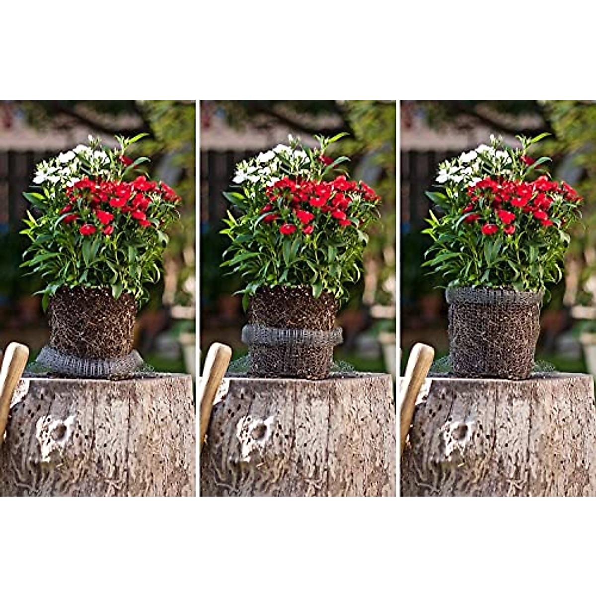 boUod 5pcs 15 Gallon Gopher and Vole Wire Baskets Protect Plants, Trees, Flowers and Bulbs from Voles, Gophers and Moles