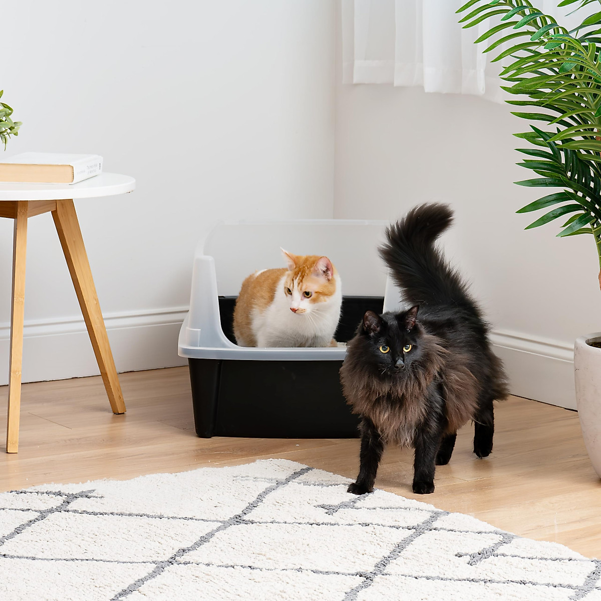 IRIS USA Extra Large Cat Litter Box, Open Top Litter Box for Big Cats and Multi-Cat Households, High Sided Scatter Shield, Easy to Clean, Black