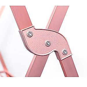 Drying Rack Floor Folding Indoor and Outdoor Home Balcony Aluminum Double Rod Cool Clothes Hanger Pole Clothes by The Shelf Artifact FANJIANI (Color : Rose Gold)