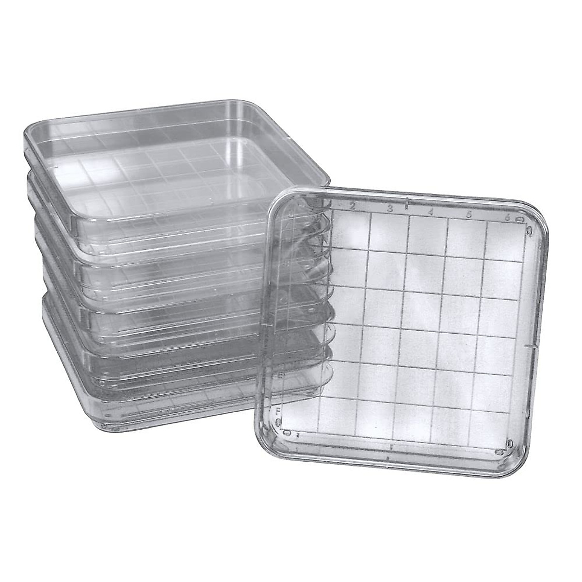 Polystyrene Square Integrid Petri Dish, Pack Of 10