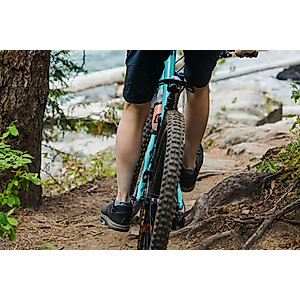 Swiftwick- ASPIRE ZERO Tab Running Socks, Cycling Socks, Lightweight No-Show (Pewter, Medium)