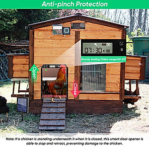 Automatic Chicken Coop Door - Solar Chicken Door with Timer, Light Sensor, Anti-Trap, Remote Control, Full Aluminum and Weatherproof, Anti-Pinch Design for Chickens Ducks Farms