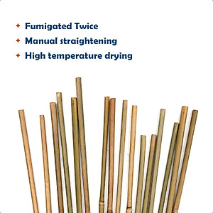 COLOtime Bamboo Stakes 4FT Garden Stakes Plant Stakes for Indoor and Outdoor Climbing Plants Poles Sticks Support Tomatoes Eggplants Beans 25 Pack
