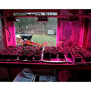 ACKE LED Grow Lights Full Spectrum,Plant Lights，Growing Lamps 12W for Indoor Plants,Hydropoincs
