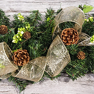 CT CRAFT LLC Organza with Champagne Gold Glitter Snowflakes Wired Ribbon 2.5 inch x 50 Yards for Christmas Home Decor Tree Topper Bow Gift Wrapping DIY Crafts Wreath Garland Wedding