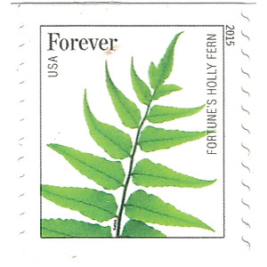 USPS Ferns Stamps - 50 Forever Stamps (5 Strips of 10 Stamps)