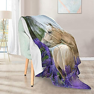 Blueangle Beautiful Palomino Horse Print Velvet Blanket Throw Size Luxury Bed Blanket Lightweight Fuzzy Soft Blanket Microfiber, 50 x 60 Inches