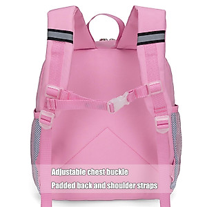 HawLander Preschool Backpack for Toddler Girls, Kids School Bag, Ages 3 to 7 years old, Mini, Pink Blue