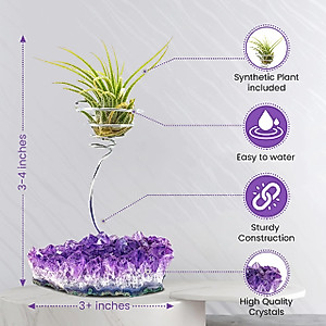 Air Plant Crystal Holder (XL) - Amethyst Airplant, Air Plants Crystals, Crystal Air Plant Holder, Amethyst Air Plant In Crystals, Air Plant Stone, Air Plant Pot, Air Plants in Crystals, TheCrystalCafe
