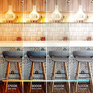 ENERGETIC Super Bright Light Bulb 150 Watt Equivalent A21 LED Light Bulb, Cool White 4000K, 2600 High Lumens LED Bulb, E26 Base, Non-Dimmable, UL Listed, 2 Pack