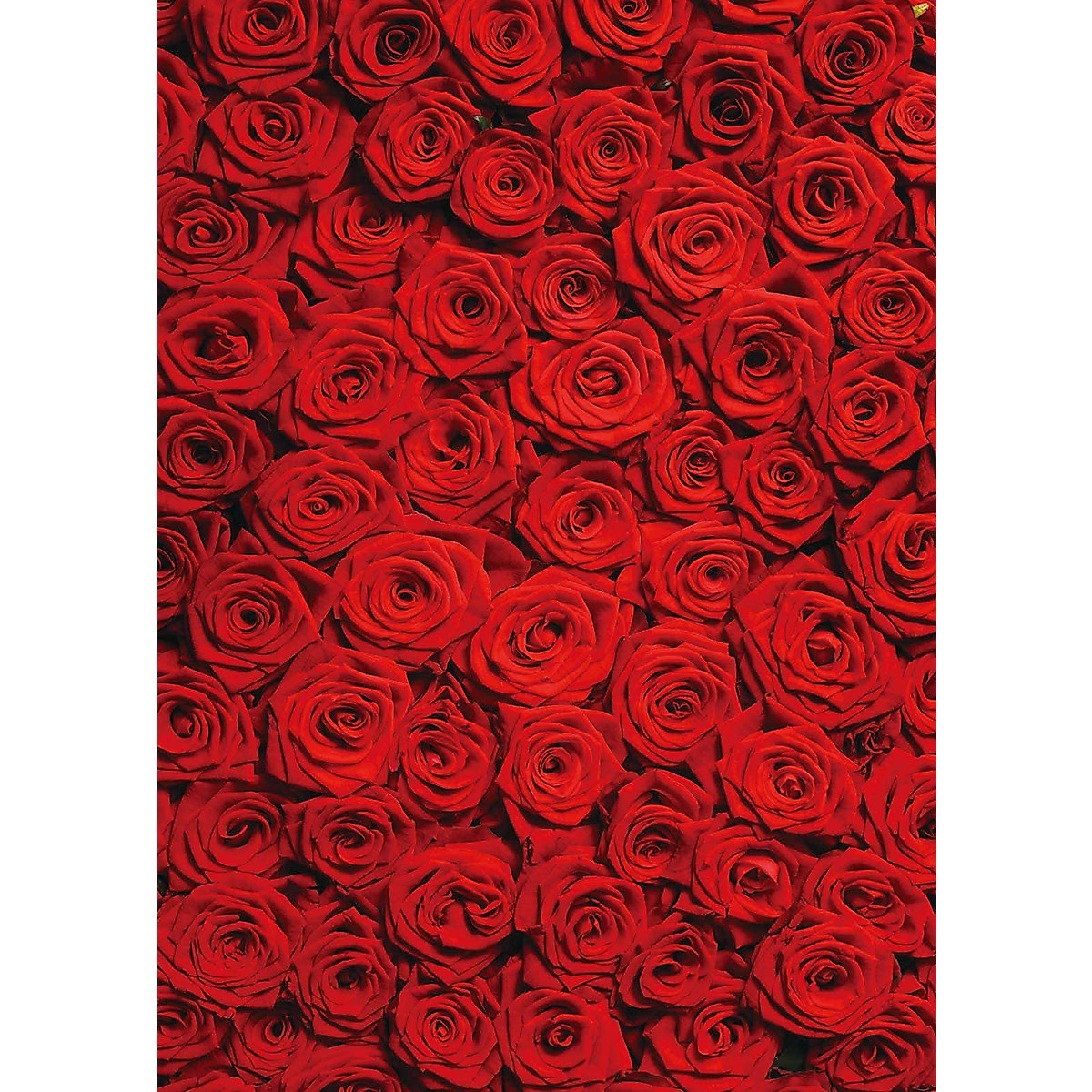 RUINI Red Rose Floral Wedding Photography Backdrop Roses Wall Lovers Girls Children Photos Backdrop 6x8FT