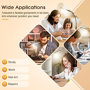 LED Desk Lamp/Clamp LED Lamp/Remote Control & Touch/Adjustable Flexible Gooseneck/Modern Stylish Multiple Setting Brightness and Color Bright Bulb/by Syrinx (Black)