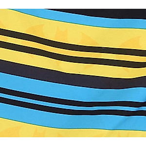 Warner Bros. Justice League Batman Toddler Boys Swim Bathing Suit Yellow/Blue 2T