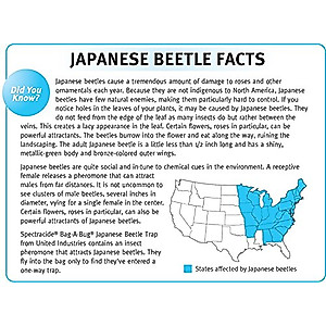 Spectracide Bag-A-Bug Japanese Beetle Trap2 Replacement Bags Only (HG-56903) 6 Count (5 Pack of 6 Bags)