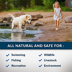 Airmax 4X Concentrated Nature's Blue Liquid Pond Dye, 4X Liquid Concentrate, Treats Like 1 Gallon, Ecofriendly, Clean & Clear Water, No Mixing, Enhances Natural Color, Treats up to 1 Acre, 1 Quart